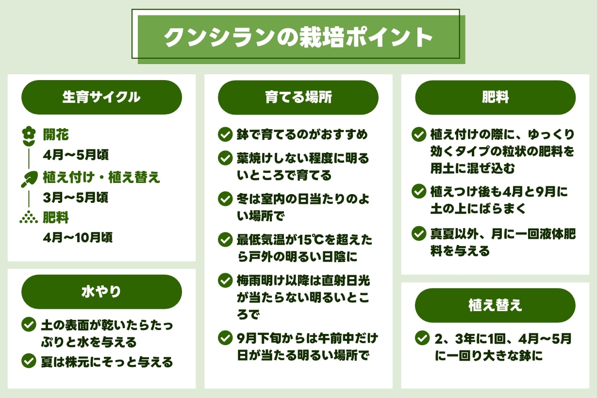 クンシラン(君子蘭)の栽培ポイント