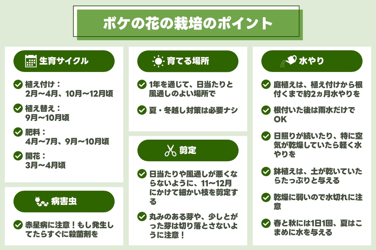 ボケの栽培ポイント