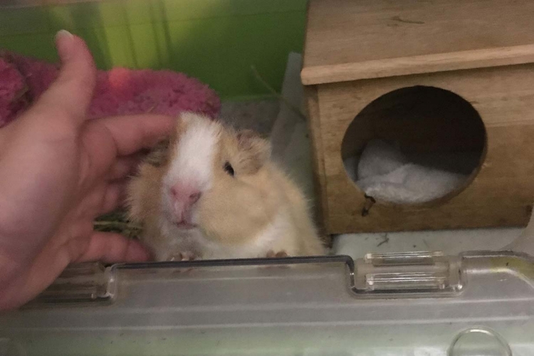 赤ちゃん時代のつむぎさん