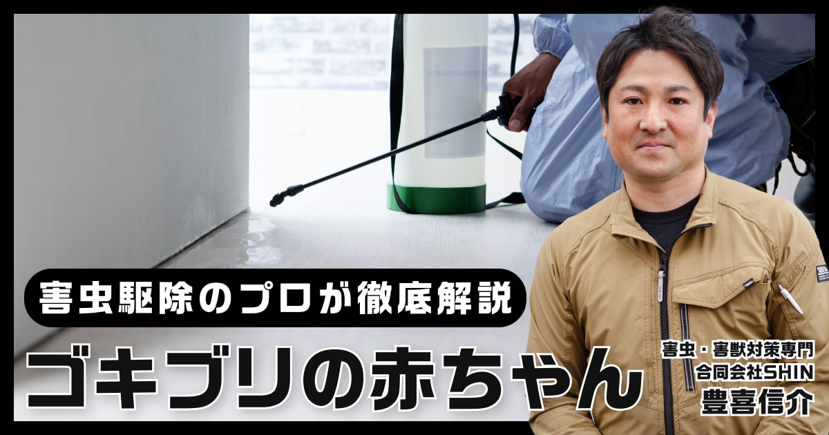 ゴキブリの赤ちゃん（幼虫）を見つけたら？ 種類や特徴、予防や駆除の方法 | はるまきもえPORTFOLIO